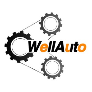 wellauto | eBay Stores