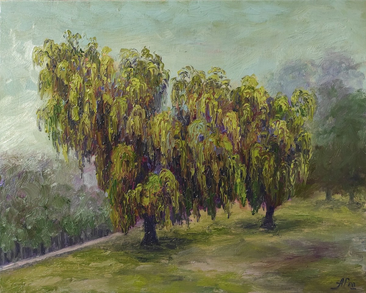 Weeping Willow Drawing Weeping Willow Tree Or Liang Liu, Weeping