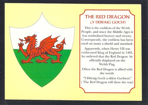D7160 UK The Red Dragon Information Story Card postcard | eBay Australia