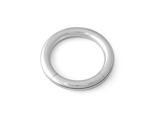 316L Surgical Steel Segment Captive Ring 10g 10 gauge | eBay