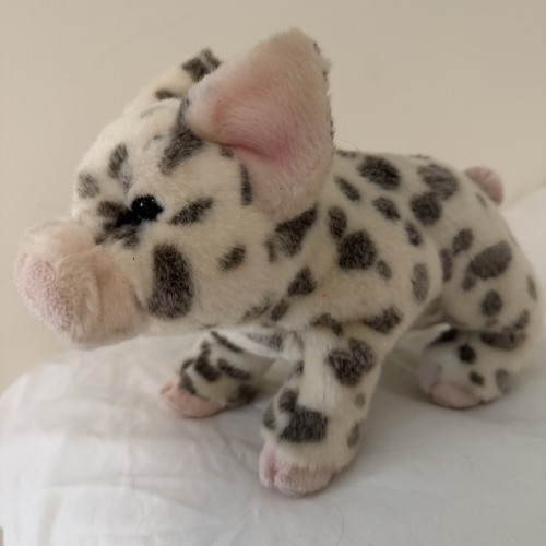 DOUGLAS Spotted Pig PAULINE #1890 White with Gray Spots Piglet 11 ...