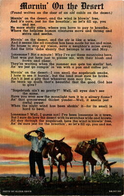 desert cabin poem cities open spaces mountains nature sagebrush flora f ...