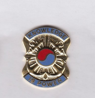 US ARMY 163rd MILITARY INTELLIGENCE BATTALION crest DUI badge c/b G-23 ...