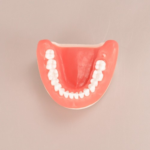 Maxillary+Mandibular Tooth Extraction Practice Model Dental Typodont ...