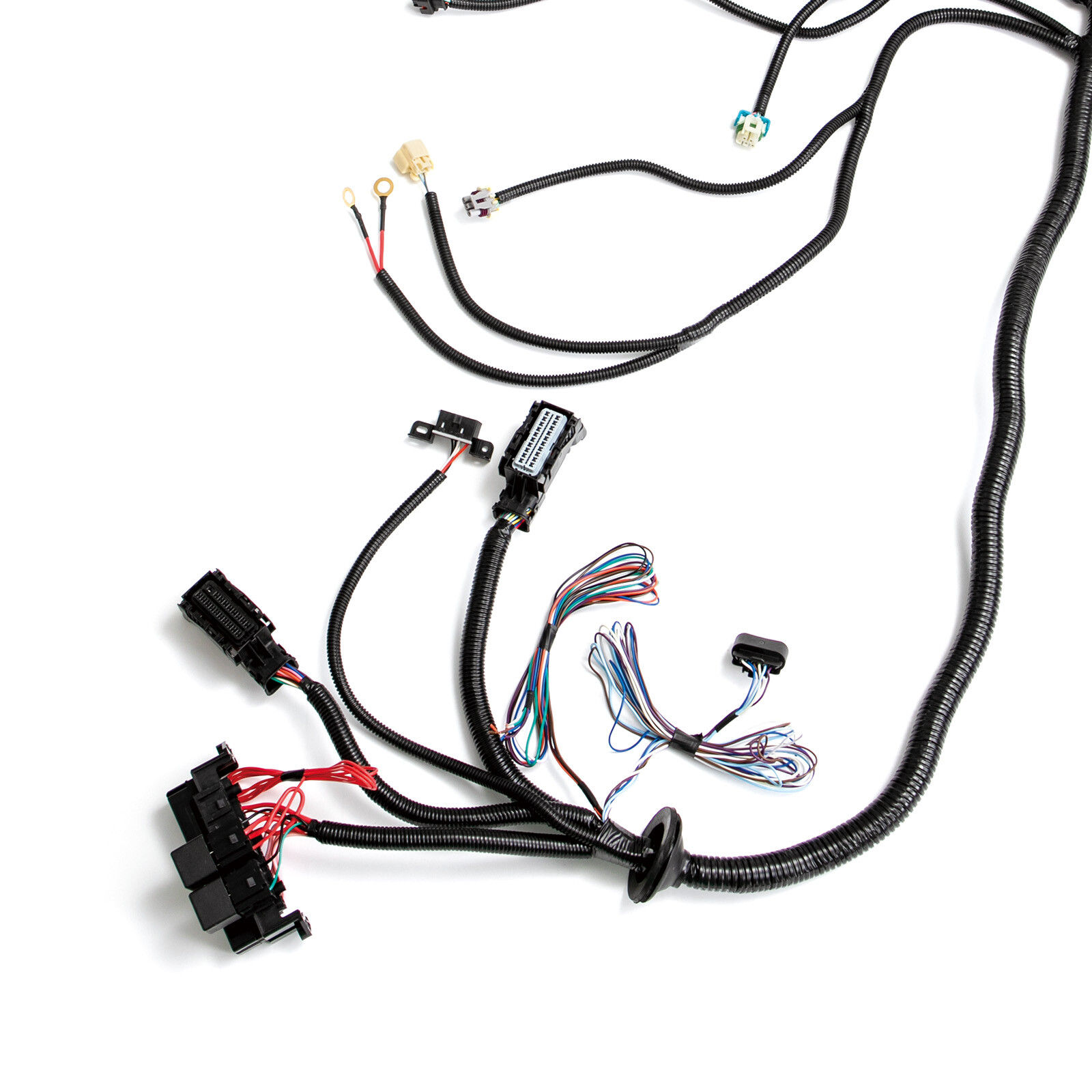 LS3 Standalone Harness For GMC LS3 6.2L Drive By Wire 06-15 For Ls1/Ls6 ...