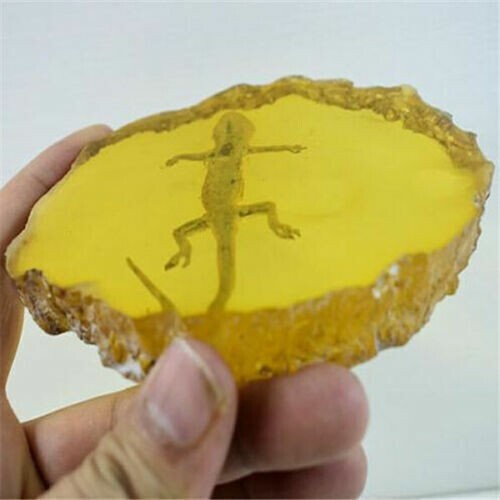 Beautiful Amber Gecko Fossil Insects Manual Polishing Decorative Pieces ...