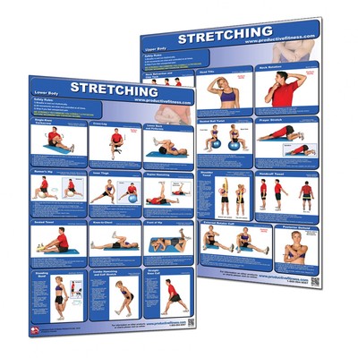 Productive Fitness Poster Series Upper Lower Body Stretching Exercises ...