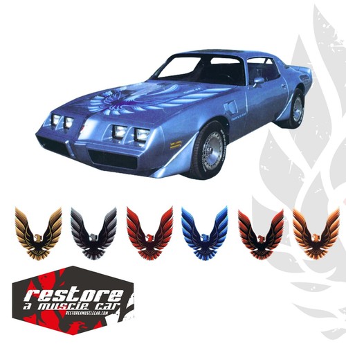1980 Pontiac Turbo Trans Am Decal Kit (6 Color Choices) | eBay