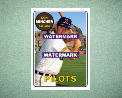 Don Mincher Seattle Pilots 1969 Style Custom Baseball Art Card | eBay