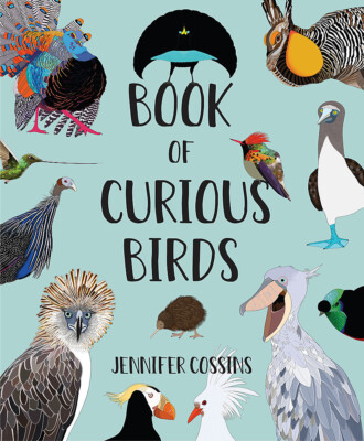 NEW BOOK Book of Curious Birds by Jennifer Cossins (2021) 9780734420473 ...