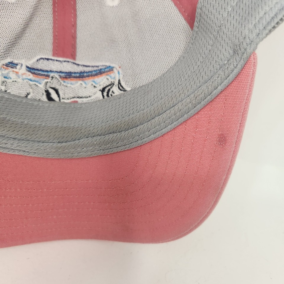 Patagonia Fitz Roy Bison Baseball Cap Trucker Hat White Pink Gray ...