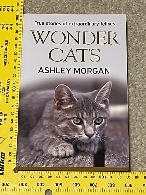 Wonder Cats by Ashley Morgan | eBay