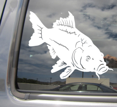 Carp Fish Fishing - Common Silver - Car Bumper Window Vinyl Decal ...