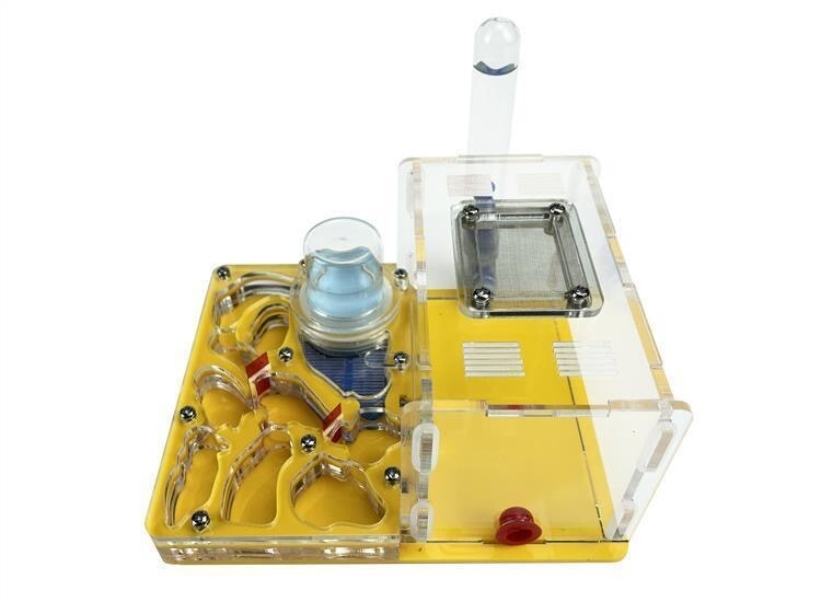 DIY Acryl Mini 3D Ant Farm Ant Nest with Feeding Area Ants House Insect ...