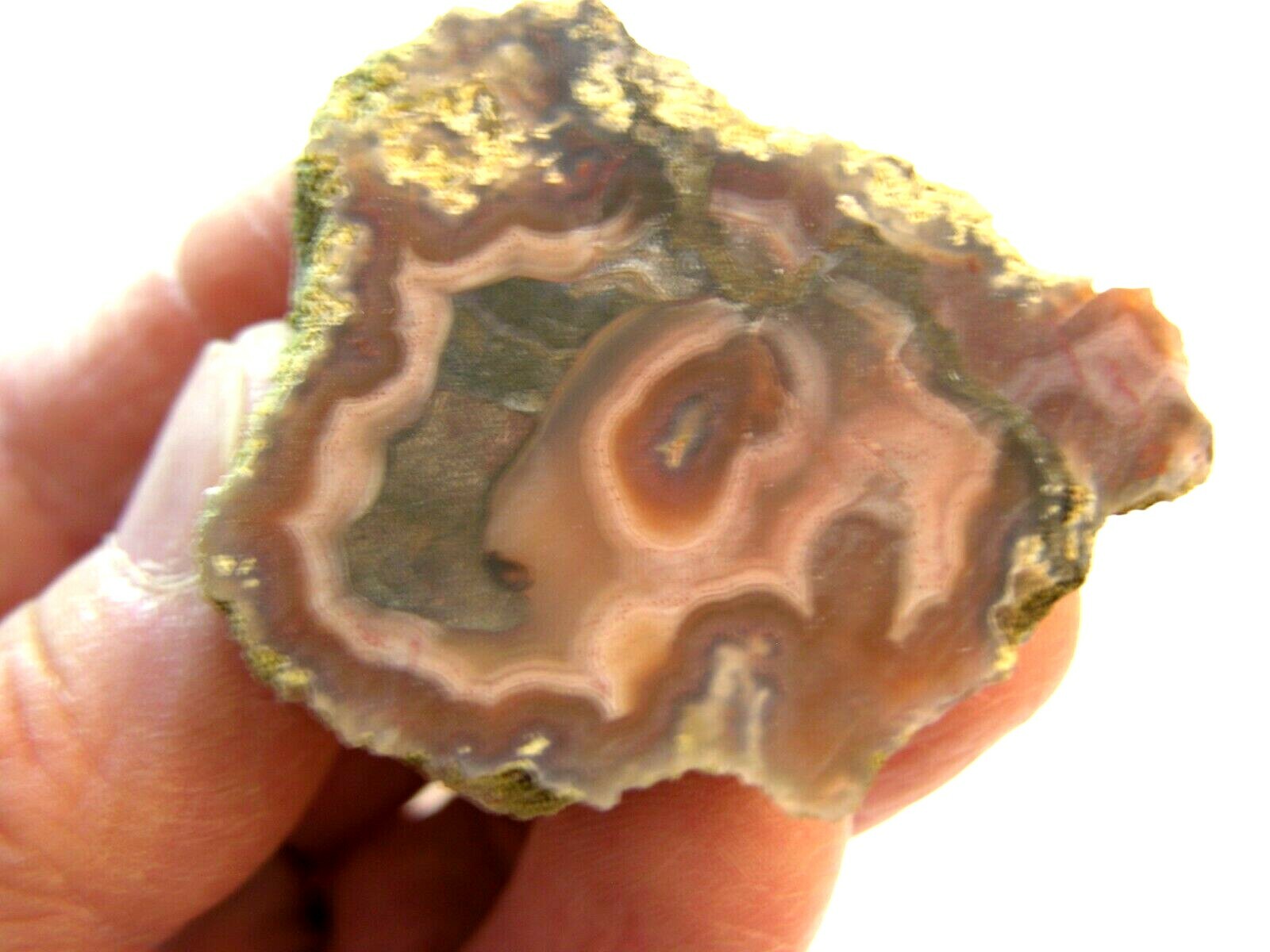 Laguna agate geode cut and polished Mexico 2 inch nl2 | eBay