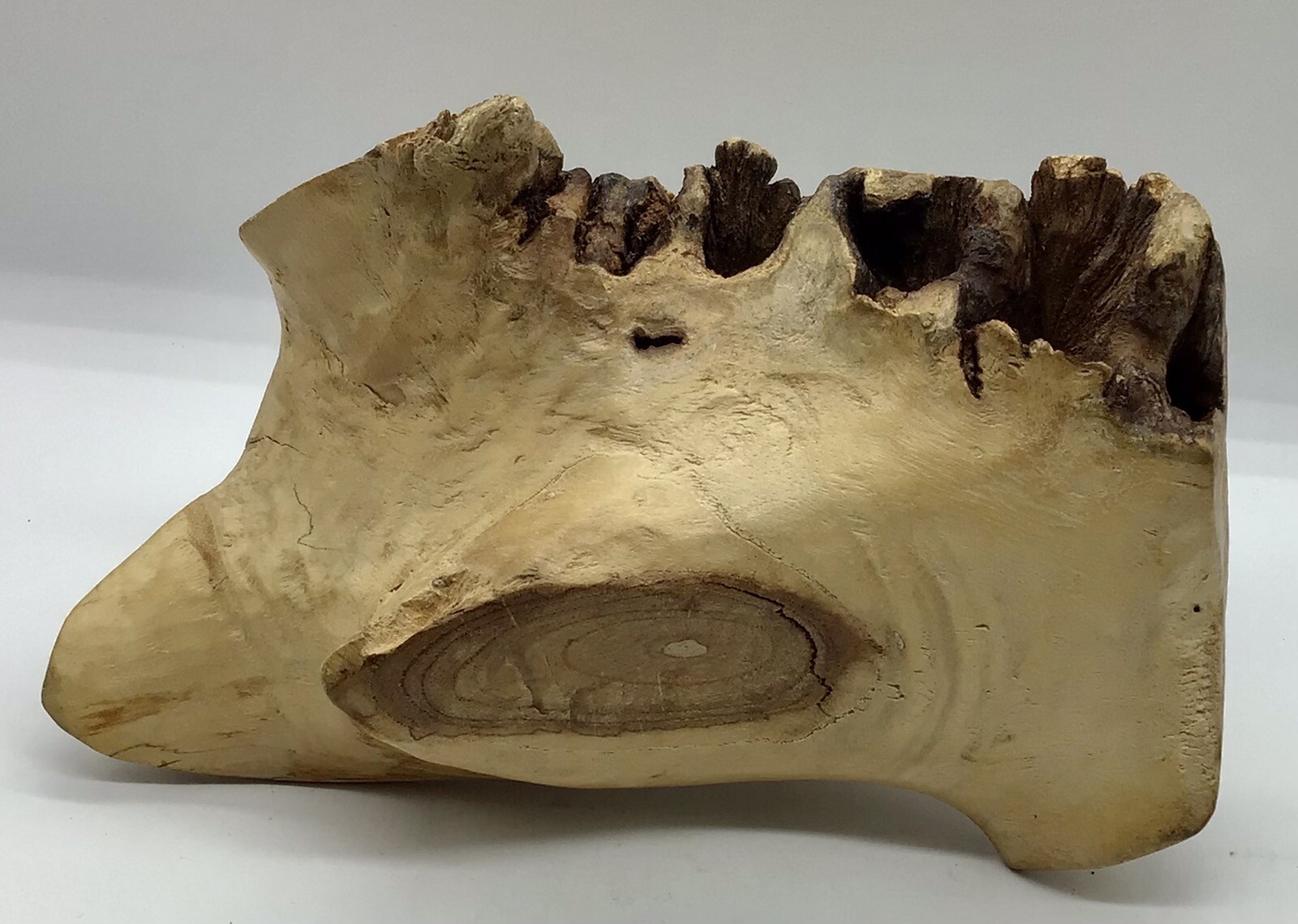 Folk Art Carved Wooden Cat Natural Form Hand Crafted 7.5 Inches Long | eBay