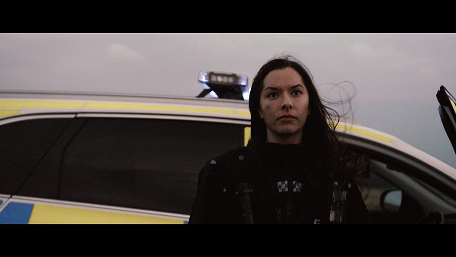 Alien Outbreak (DVD) Katherine Drake Ritchie Crane Michael Terry (UK ...