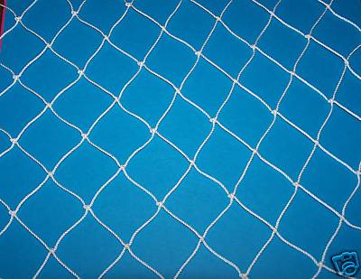 16' x 16' POULTRY NETTING GAME BIRD NET AVIARY NETS 2" #208 45 LB. TEST ...