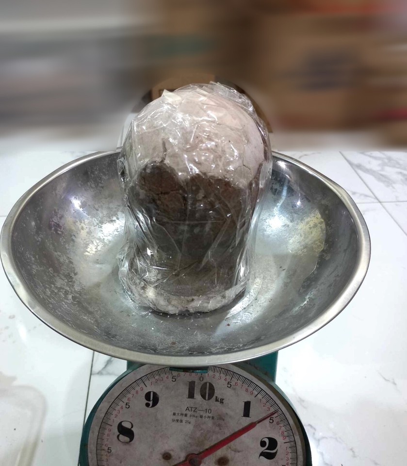 Asin Tibuok Dino Egg Artisanal Sea Salt Rarest Salt in the World (Big ...