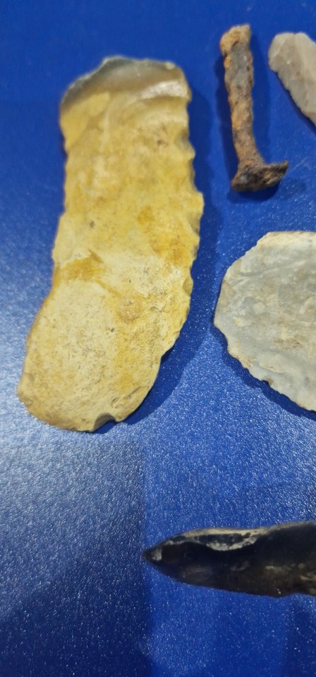 Flint Tools And Flakes Mesolithic Neolithic Bronze Age and a roman nail ...