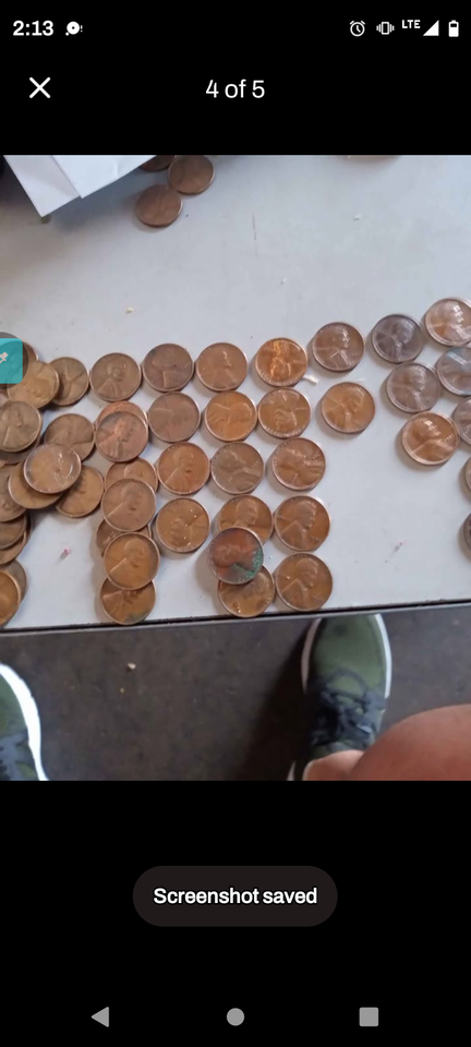 wheat penny collection alot of great coins.. on the way to complete set ...