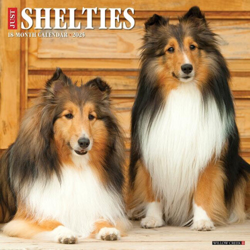 Just Shelties 2025 12 X 12 Wall Calendar by Willow Creek Press [Blank ...