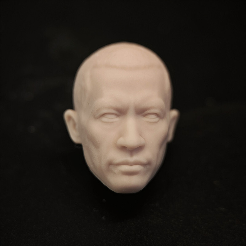 Blank 1/10 Scale Unbeatable Nick Cheung Head Sculpt Unpainted Fit 7 ...