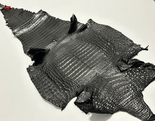 XXL Black Genuine Caiman Crocodile belly Hide Leather real alligator ...