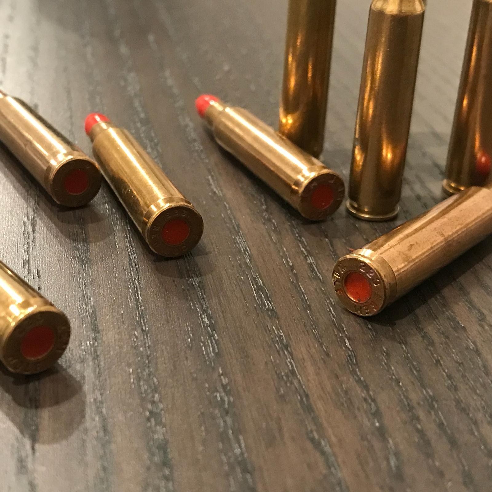 223 SNAP CAPS RED DUMMY TRAINING ROUNDS REAL WEIGHT SET OF 10 | eBay