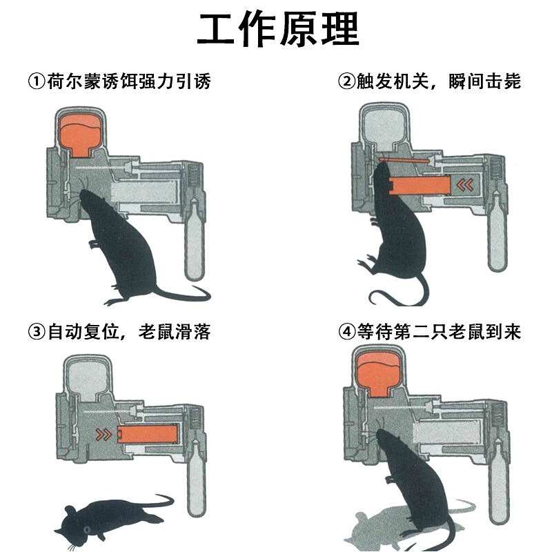 Nature Automatic Rat Mouse Kit Trap Good Human Humane Co2 Non-toxic ...