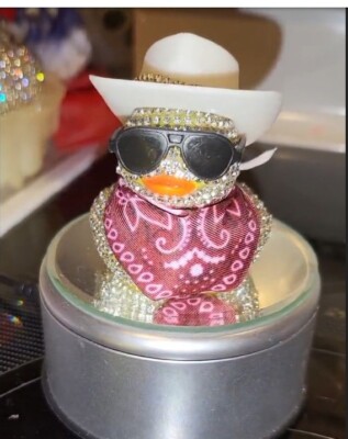 New custom cowgirl bling bling ducks | eBay