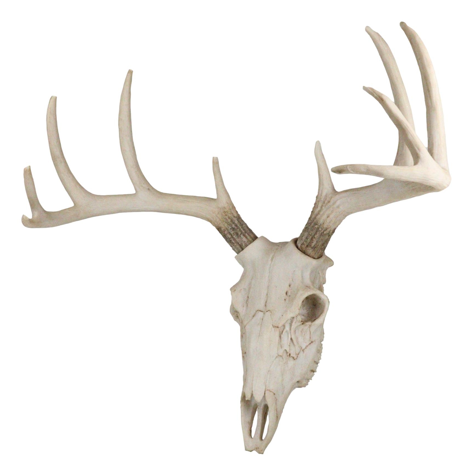 Ebros 18.5" L 10 Point Buck Head Wall Mount Resin Stag Deer Skull ...