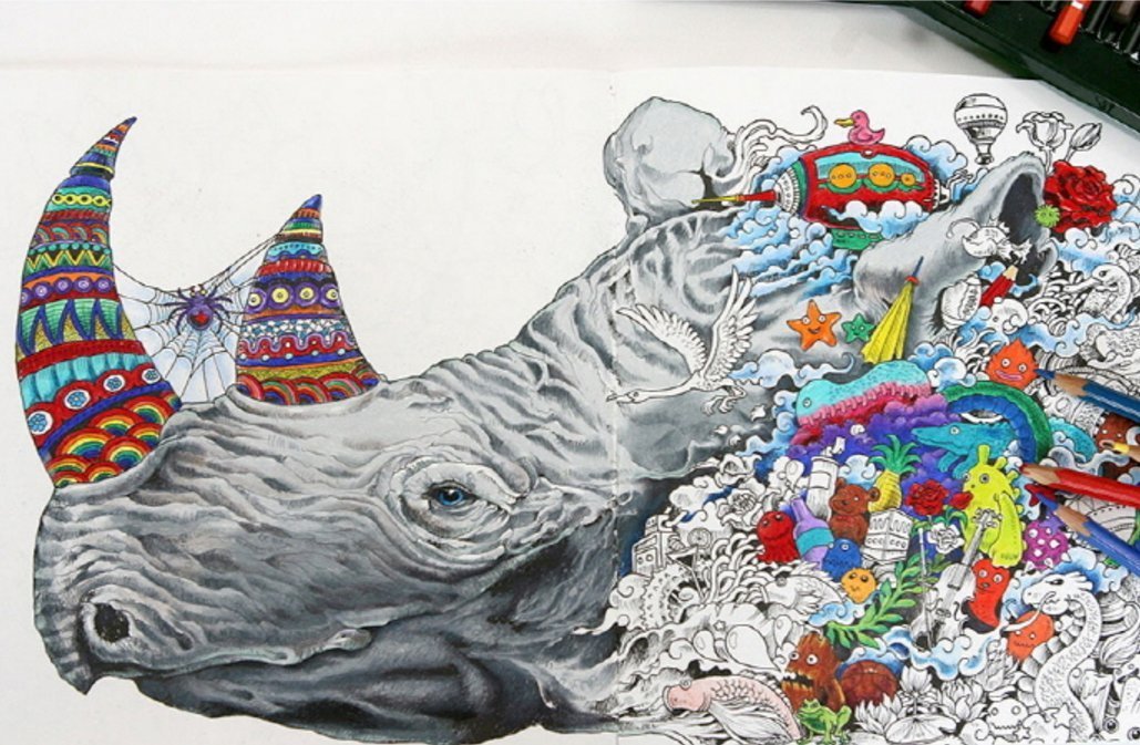 Animorphia Coloring Book Adult Gift Anti Stress Adult Fantasy Adventure ...