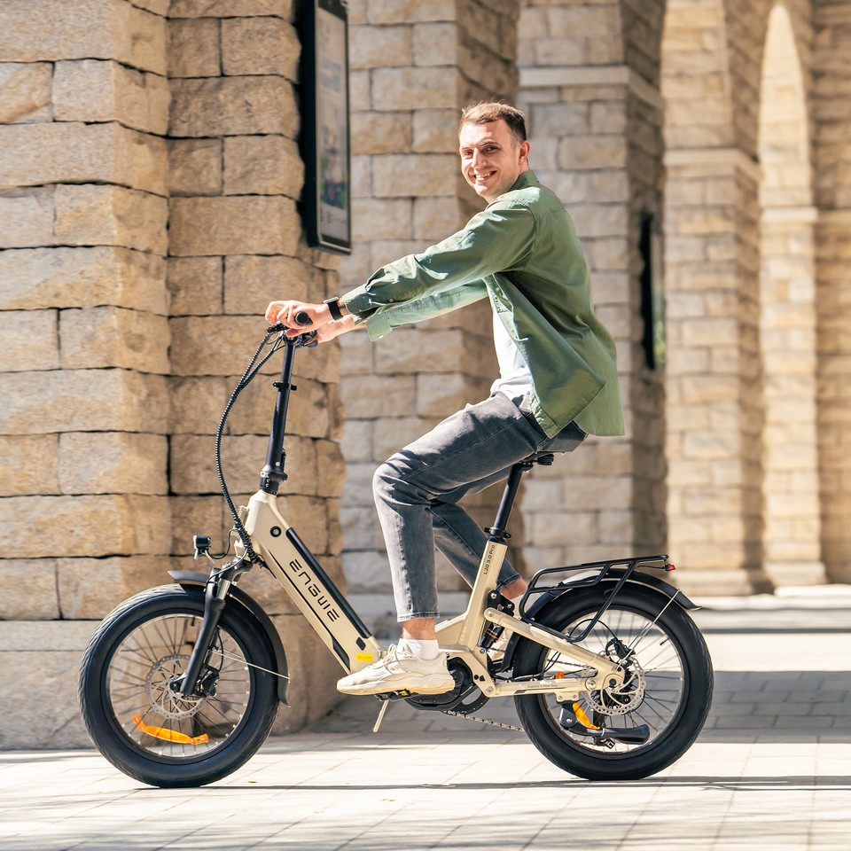 E Bike ENGWE L20 3.0 Pro 20 Zoll Elektrofahrrad falten 250W 100Nm 48V ...