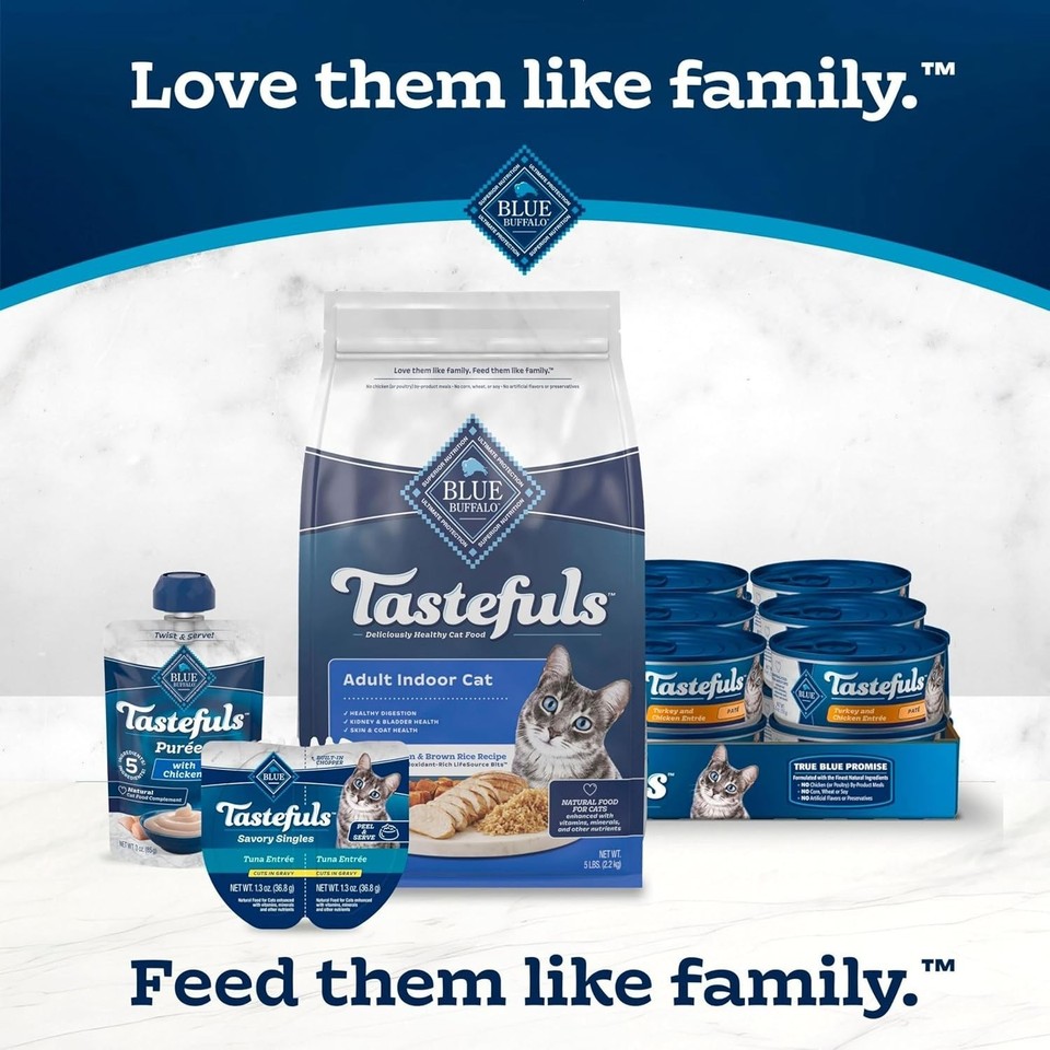 Delicious Chicken & Brown Rice Dry Food for Indoor Cats, 15-lb Bag, All ...