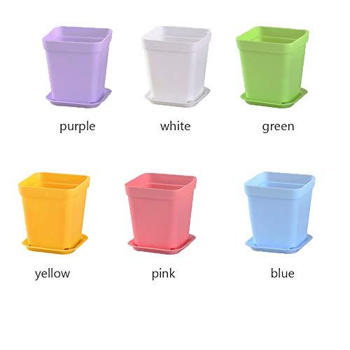 Colorful Flower Pots Square Plastic Plant Pots Succulent Planter 24 ...