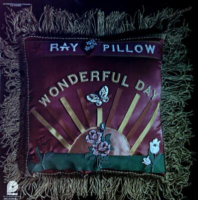 Ray Pillow - Ray Pillow Sings Wonderful Day LP (VG/VG) . | eBay Australia