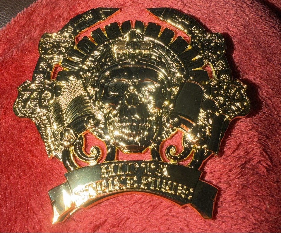 HSI Las Cruces New Mexico 4” All Gold Challenge Coin- Limited #29 ...