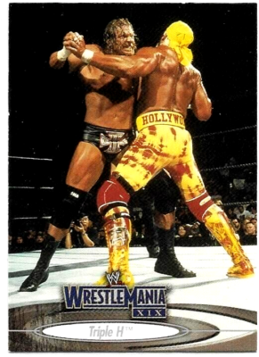 Hulk Hogan Vs Triple H