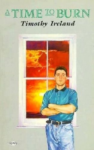 A Time to Burn by Timothy Ireland (Paperback, 1994) for sale online ...