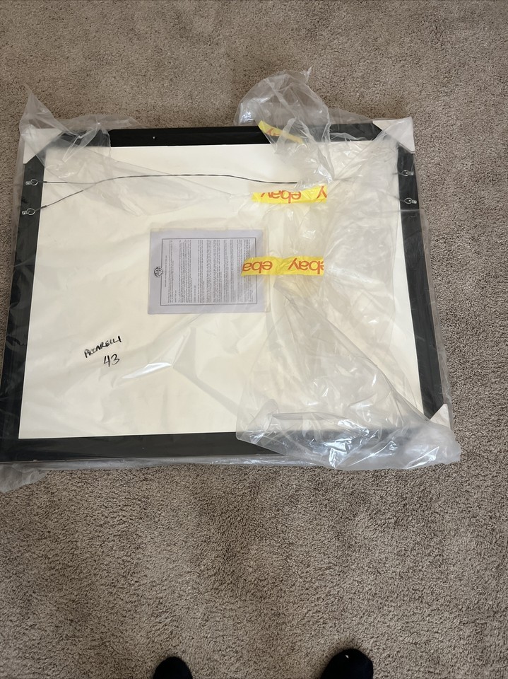 RARE WB ANIMATED CEL:LOONEY BIN-ONLY CEL WITH ALL 18 WB 8ARACTERS ...
