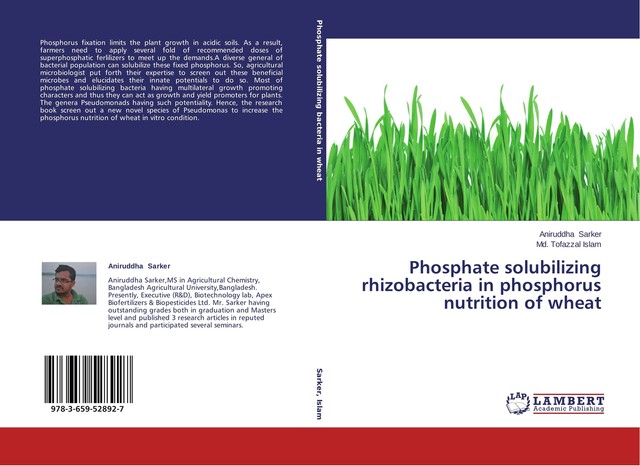 Phosphate Solubilizing Rhizobacteria in Phosphorus Nutrition of Wheat ...