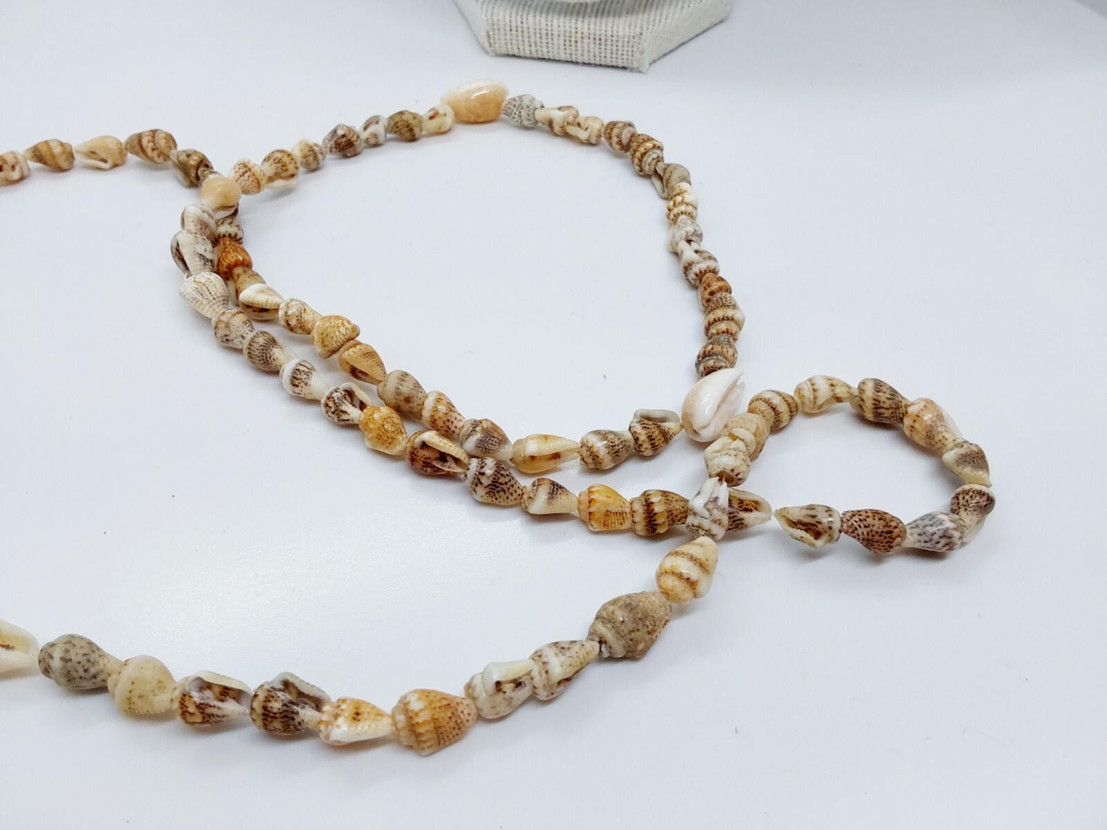 Long Shell Necklace | eBay