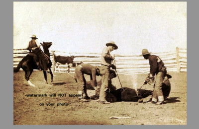Wild West Cowboy PHOTO Branding Cattle Horse Rancher Country Art Old ...