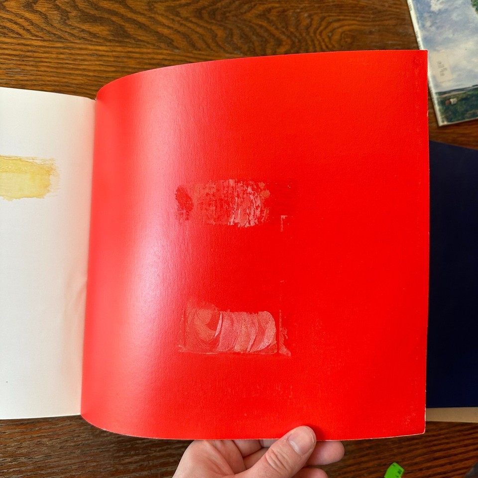 Surfacing Images: The Paintings of Joe Zucker by Susan Krane 1982 Art ...