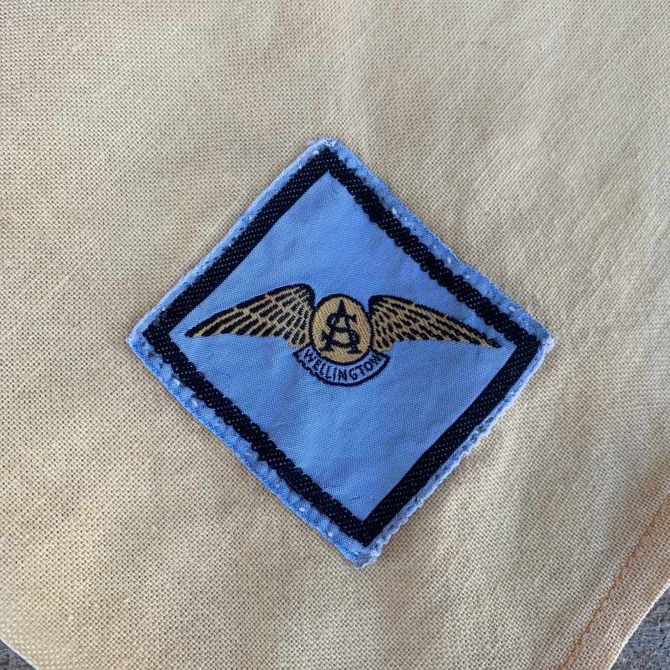 Wellington Australia 1980s Girl Guide Scarf Patch Girl Scout Collectable Uniform | eBay