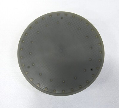 Wafer Processing - 300Mm Esc