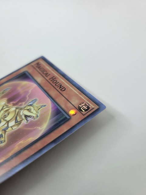 Yu-Gi-Oh! TCG Magical Hound 2021 Tin of Ancient Battles MP21-EN063 1st ...