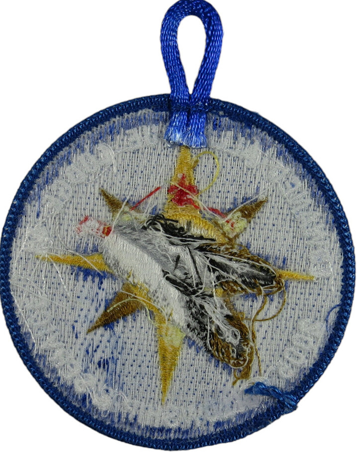 Lowaneu Allanque Lodge 41 Three Fires IL 2005 Fellowship BLU Bdr (2D267 ...