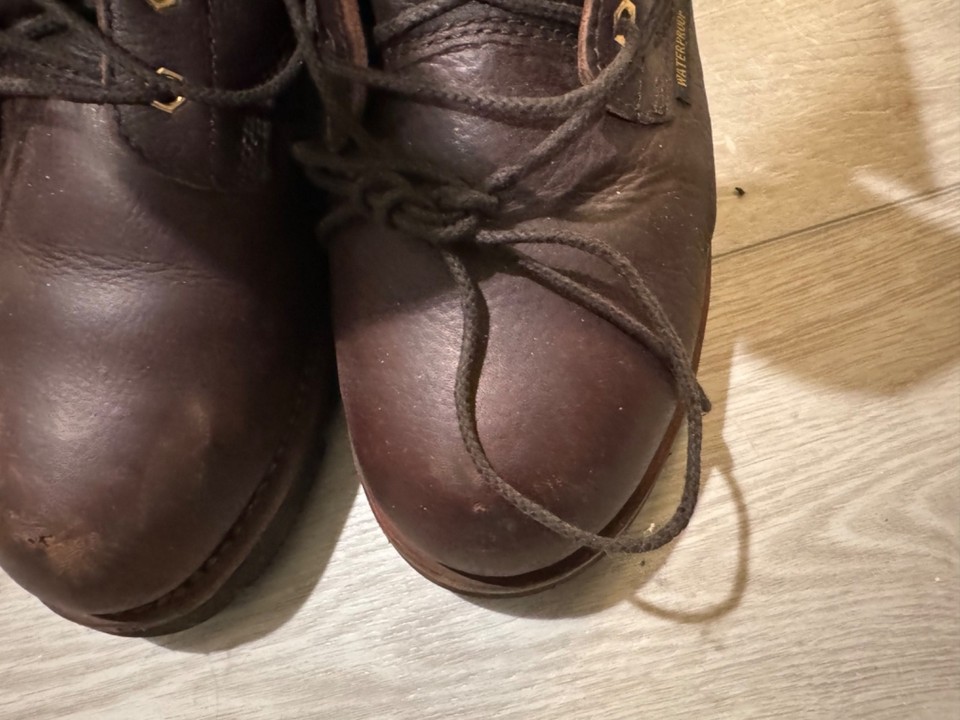 Men's Chippewa Boots 8" Steel Toe WP/Insulated Logger Work Boot 73060 ...